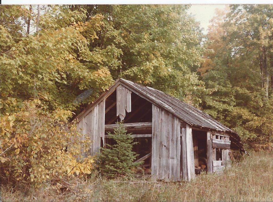 The lingering marks of October’s touch | News, Sports, Jobs - Daily Press